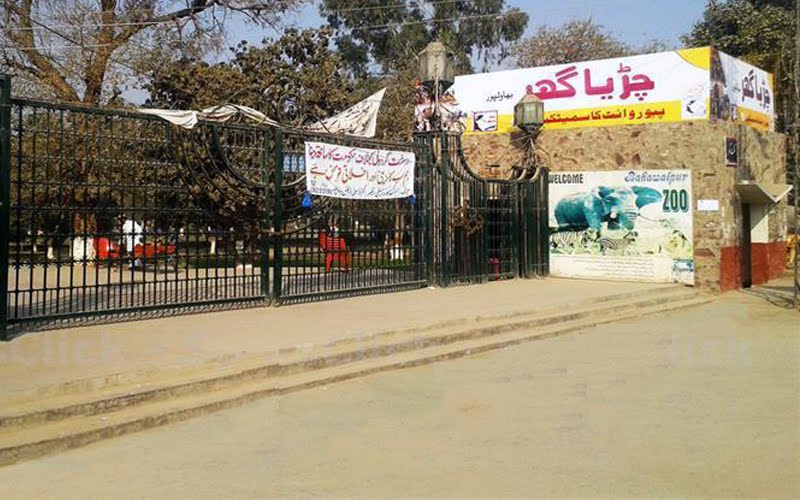 BAHAWALPUR ZOO BAHAWALPUR ZOO