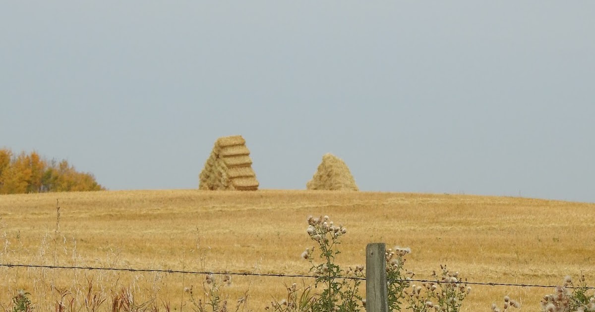 The view from here: Return of the triangle bale stacking post