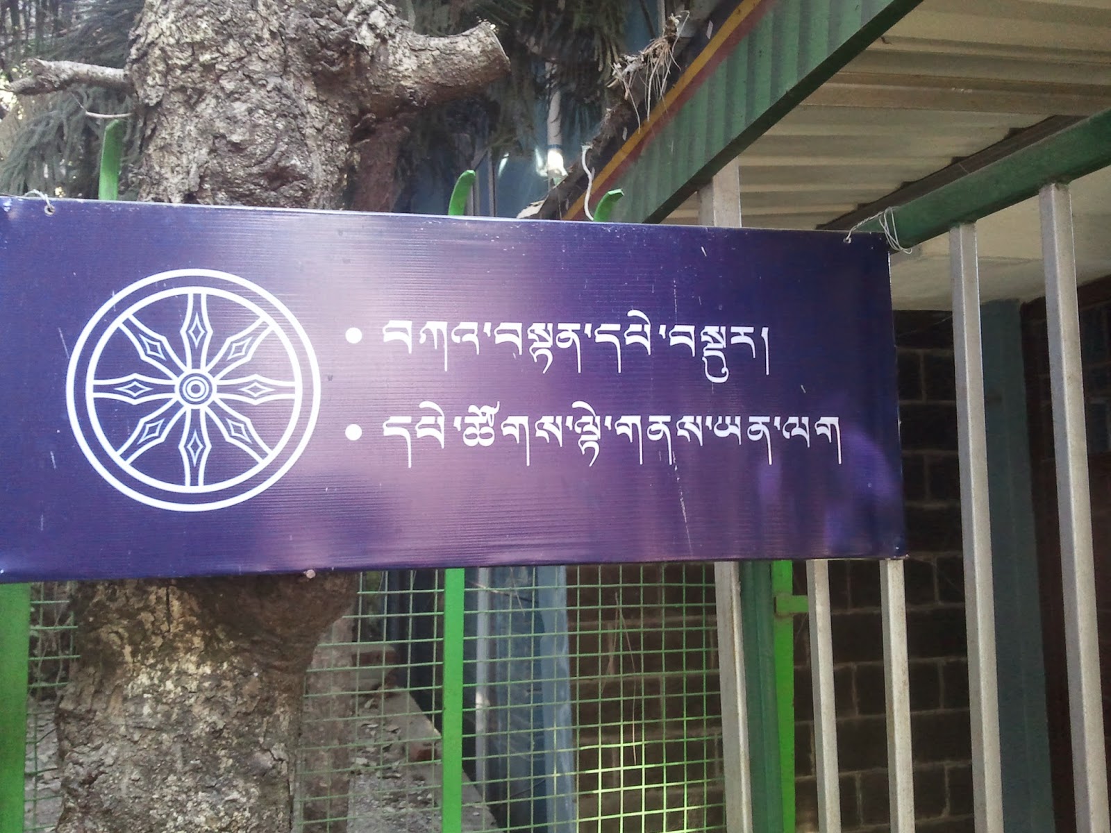 Journey Without Goal: Studying Tibetan at Esukhia and Kangyur input project