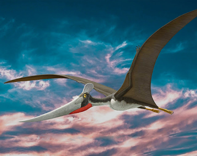 Pterosaur: The Largest Flying Creature