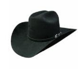 Sweethearts Of The West: STETSON , THE BOSS OF THE PLAINS