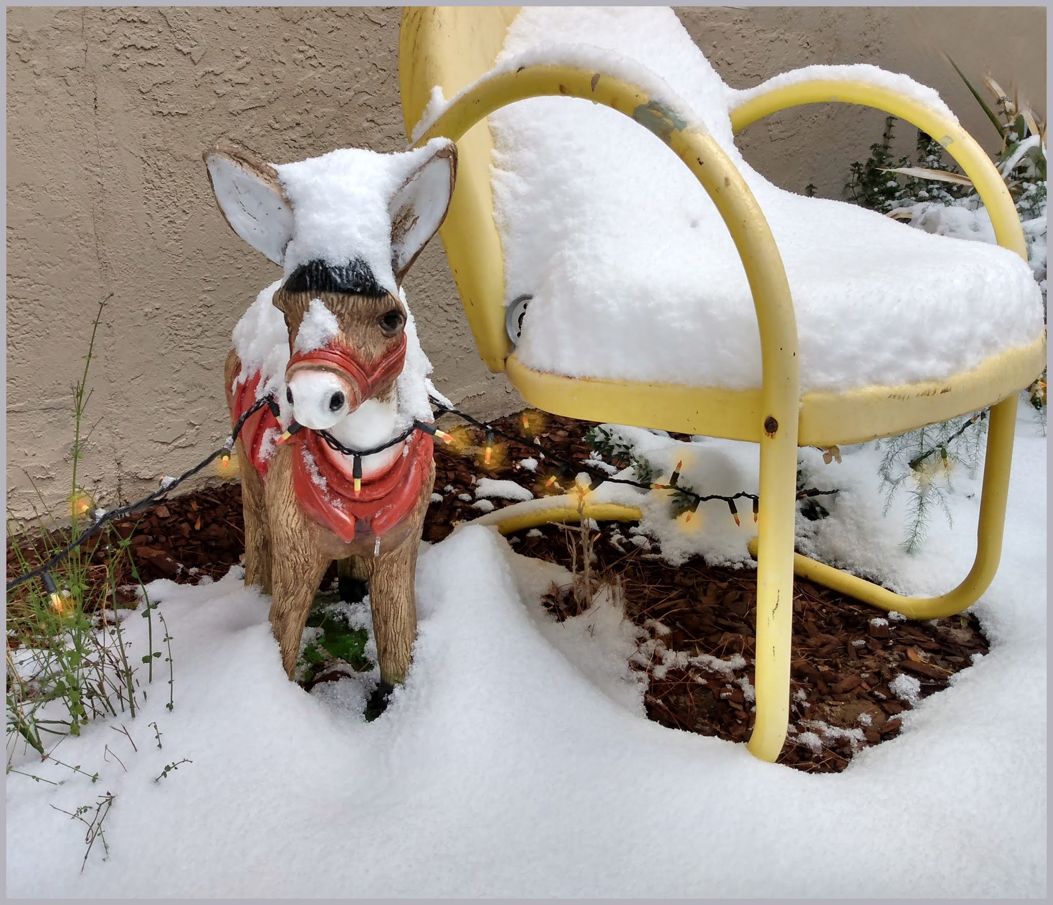Enchanted Las Cruces: Our Amazing Cold Snap in Enchanted Las Cruces
