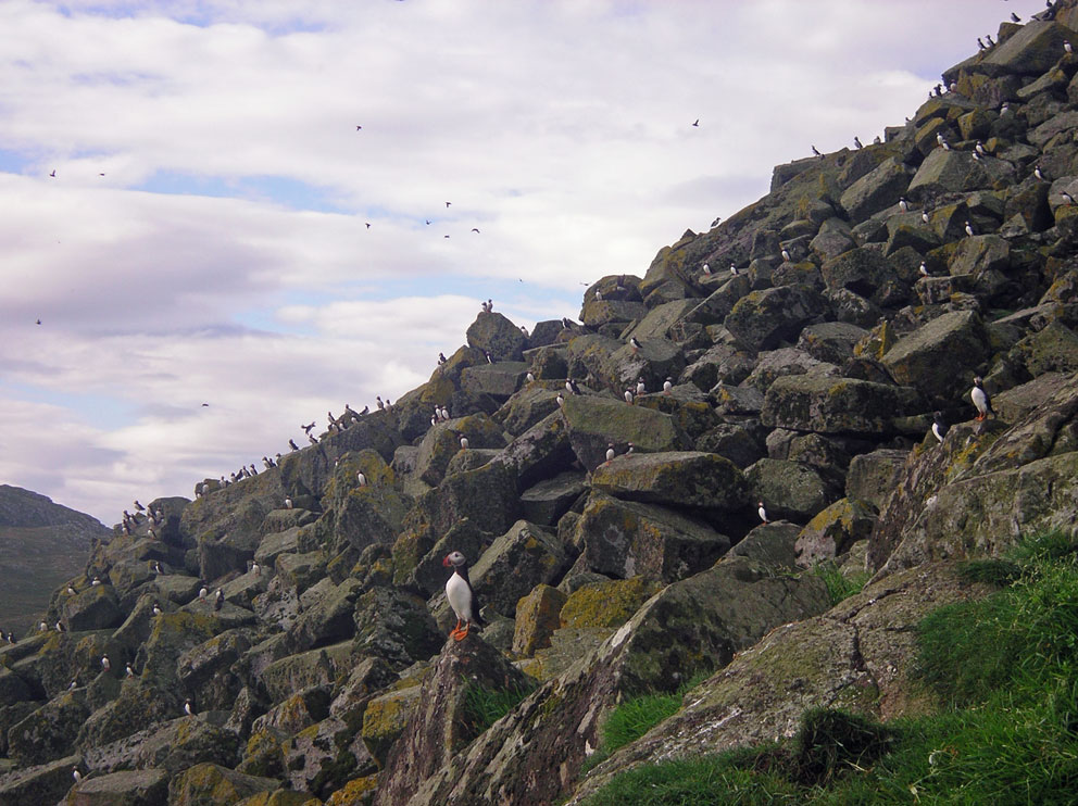 Marc Calhoun: Lighthouse Cruise 5 - Shiants