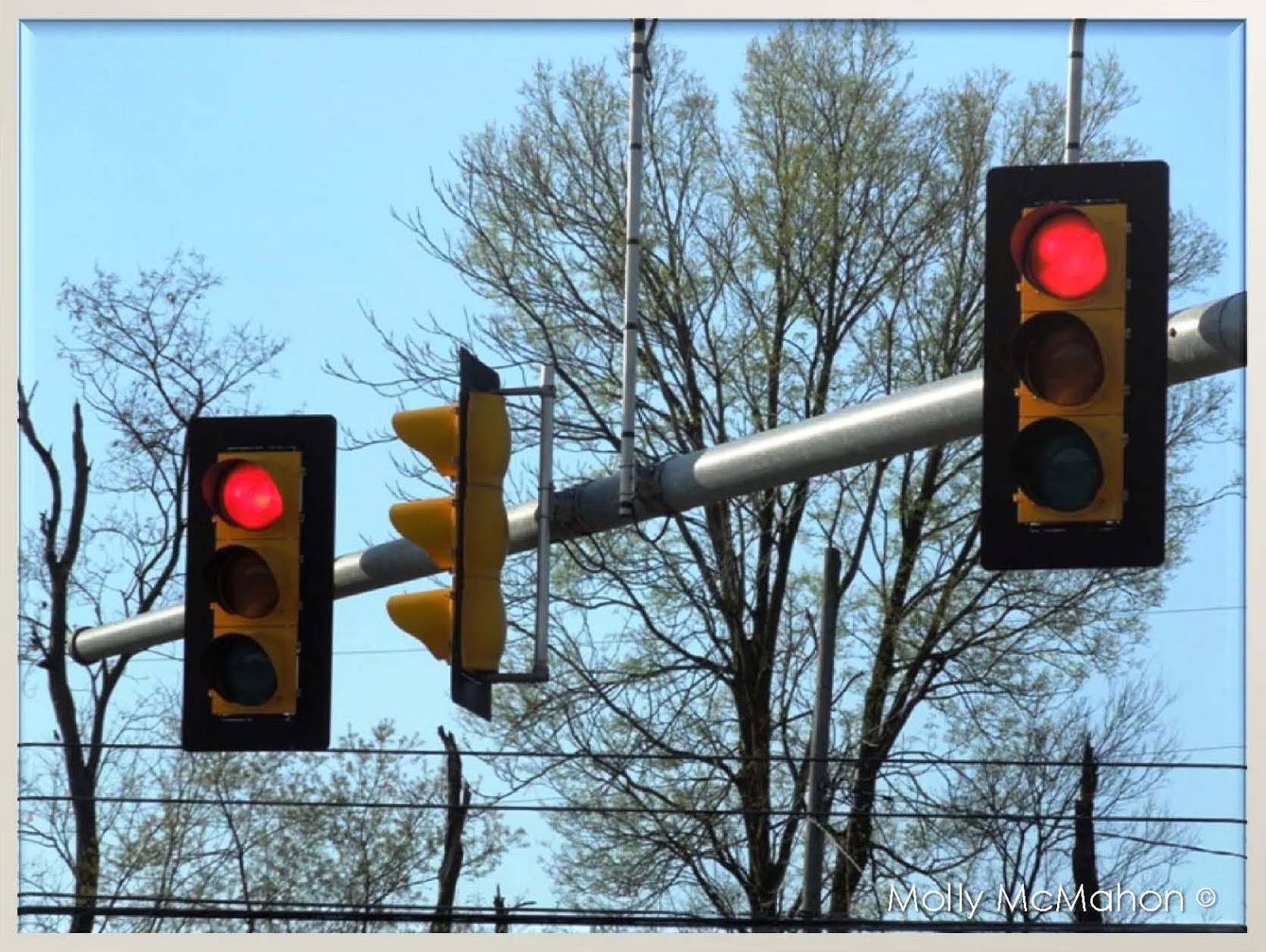 Lessons by Molly: Shapes in the Environment Photos