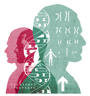 Lee Woodgate : News Blog