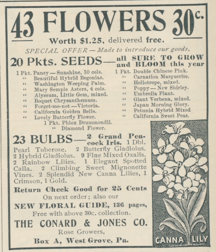 Clearly Vintage: Flower Seed Ads from 1901