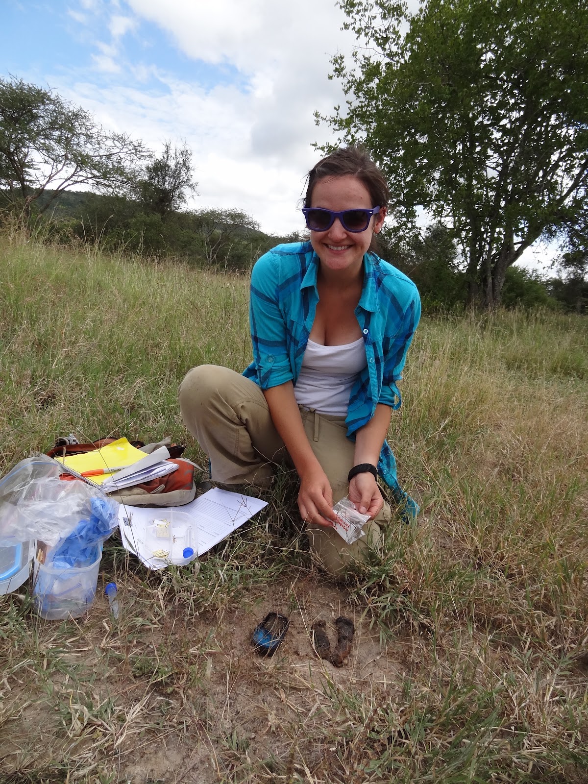 Adventures with Cheetah Poop: ZOMG!