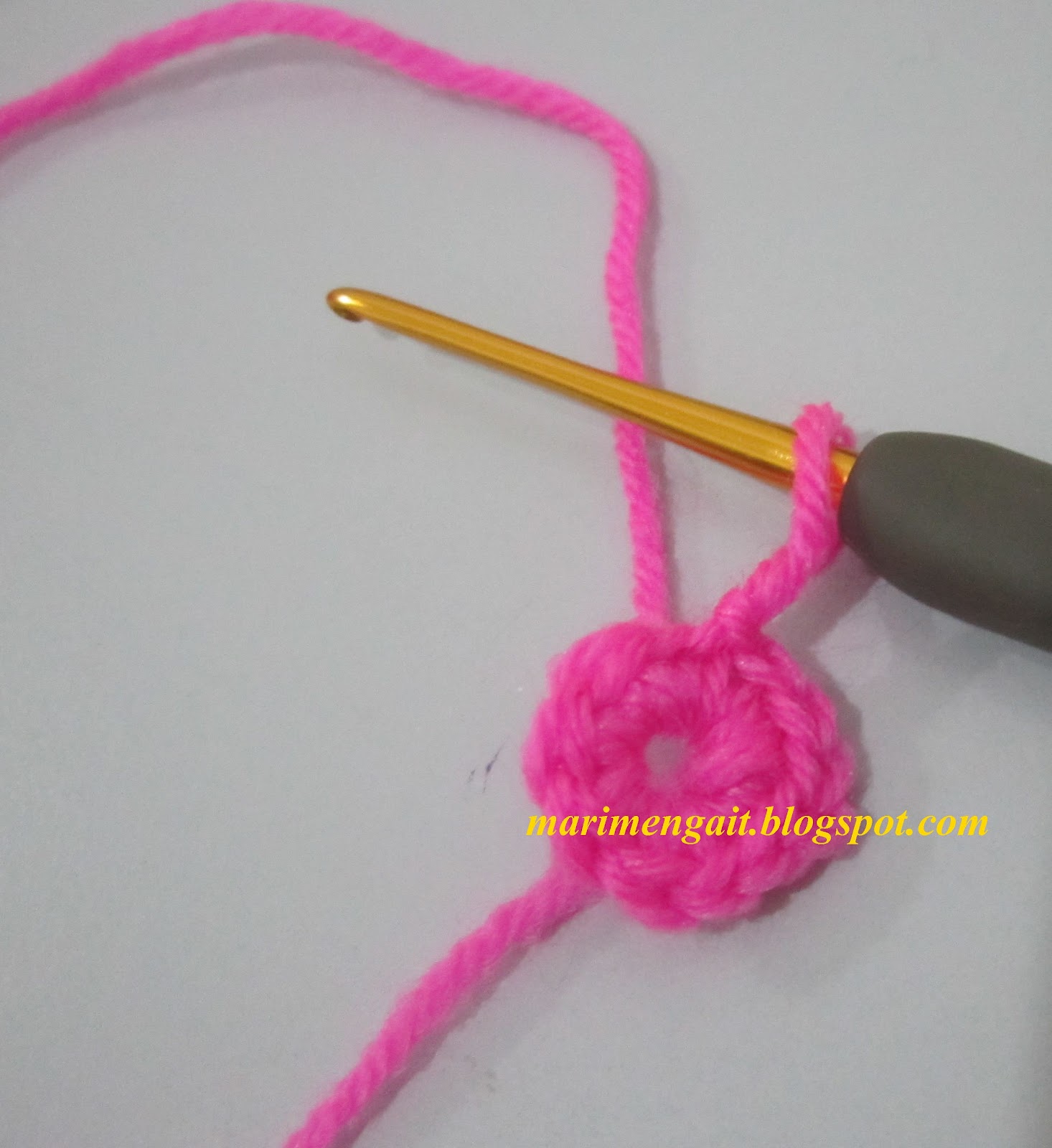 PROJEK 2 : MENGAIT BUNGA BERKELOPAK (PETAL PUFF) ~ Mari Belajar Mengait....