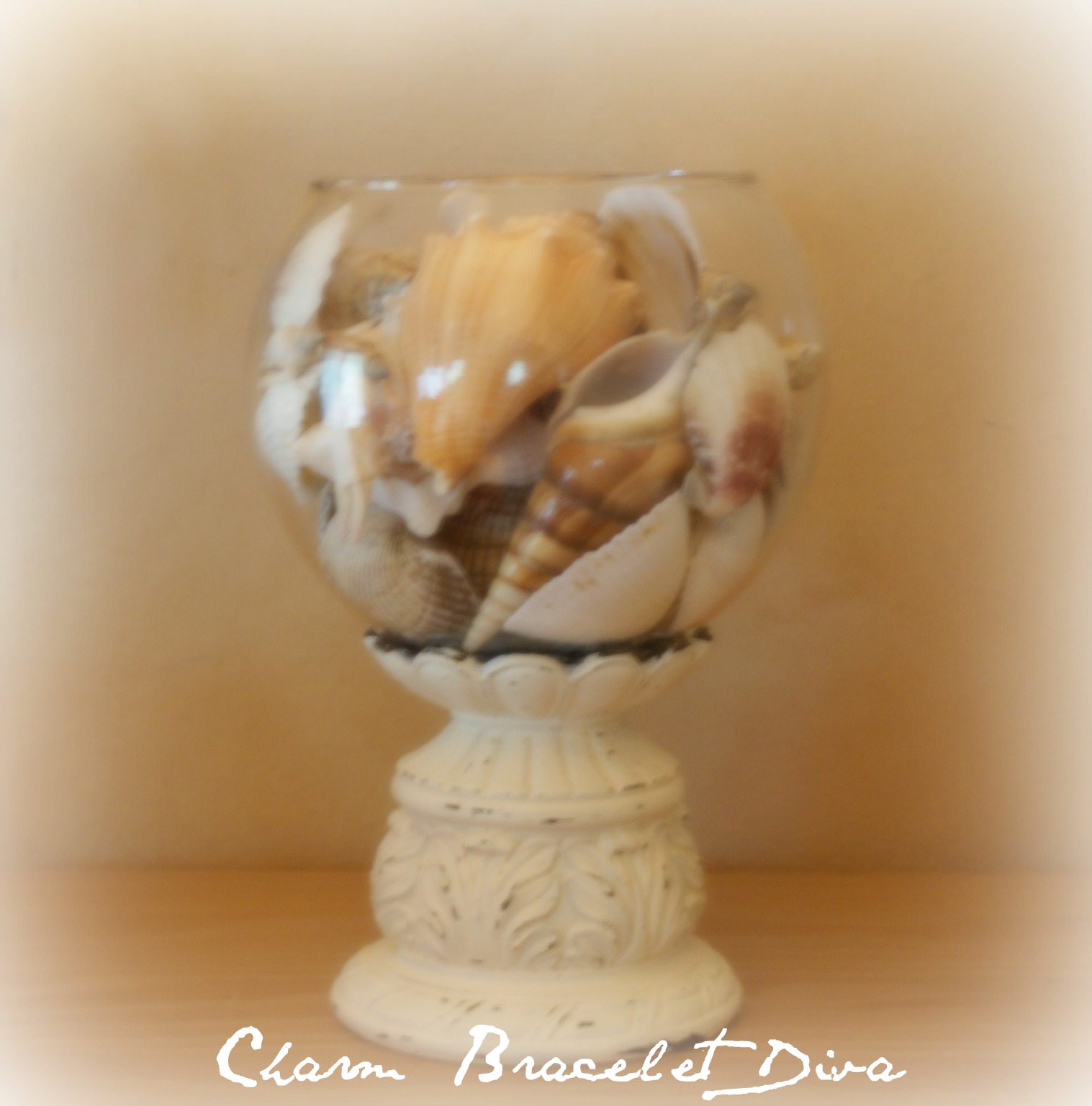 Our Hopeful Home: Summer Shells Revisited