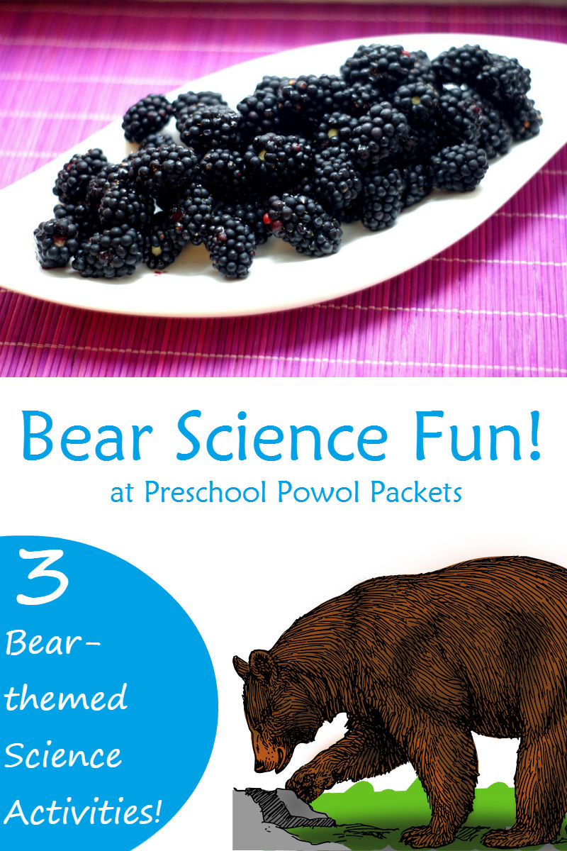 Bear Theme Science Experiments And Activities For Preschoolers bear-theme-science-experiments-and-activities-for-preschoolers