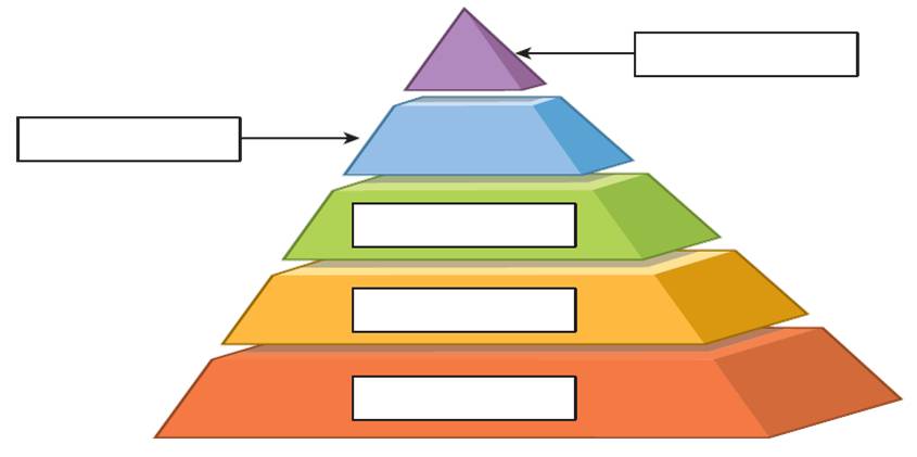 Aula de Sociales: Las Primeras Civilizaciones.