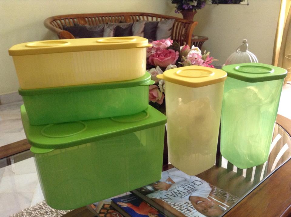 A WONDERFUL WORLD OF TUPPERWARE BRANDS: FRESH-N-COOL﻿ SET