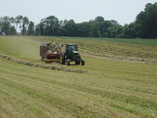 "Happenings" at Hurricane Hill Farm (A Pennsylvania Century Farm): Hay ...