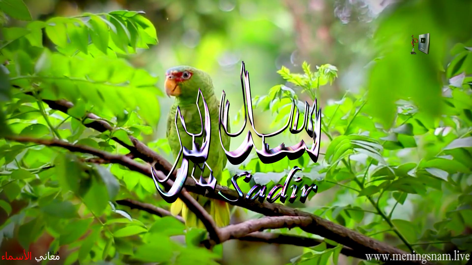 Sadir sadir