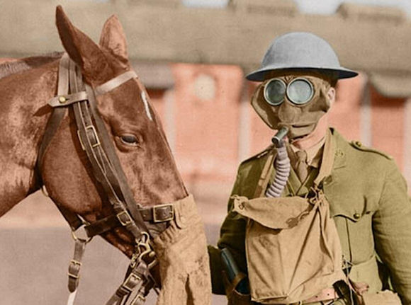 Roads to the Great War: The Small Box Respirator Gas Mask