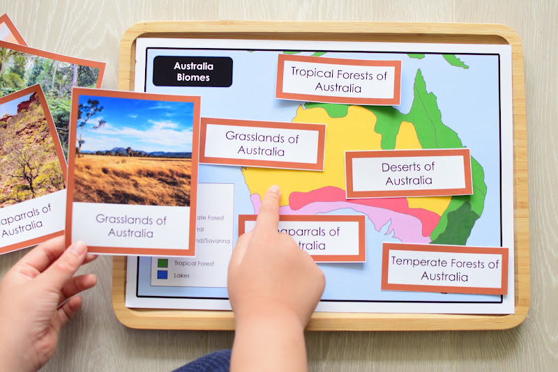 Oceania/Australia in a Nutshell - New Edition | The Pinay Homeschooler