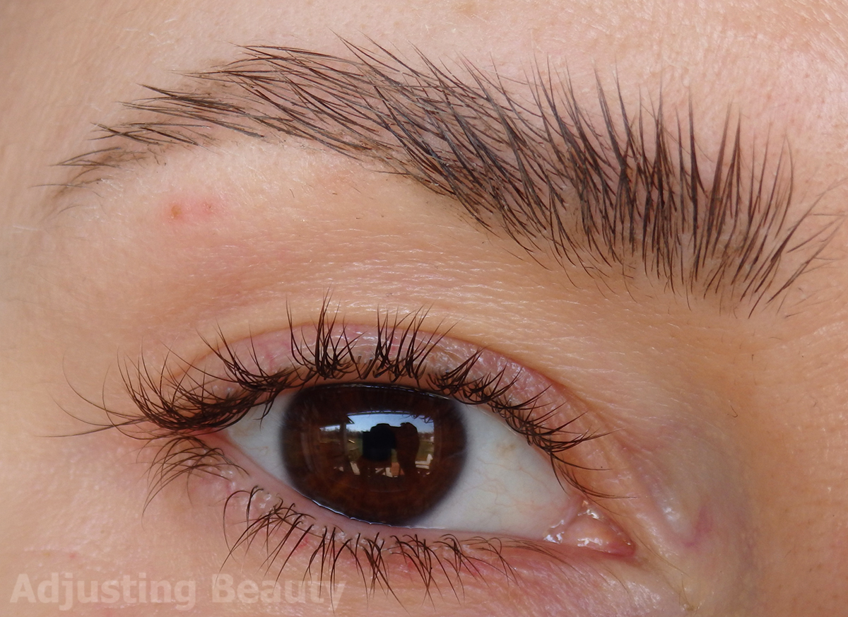 How-to: Soap Brows - Adjusting Beauty