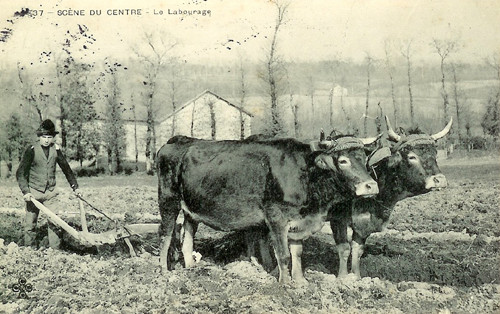 Clotaire Breton, peintre-paysan du Mantois et du Vexin français ...