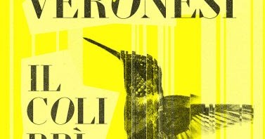 Punteggiature...: SANDRO VERONESI - IL COLIBRI'