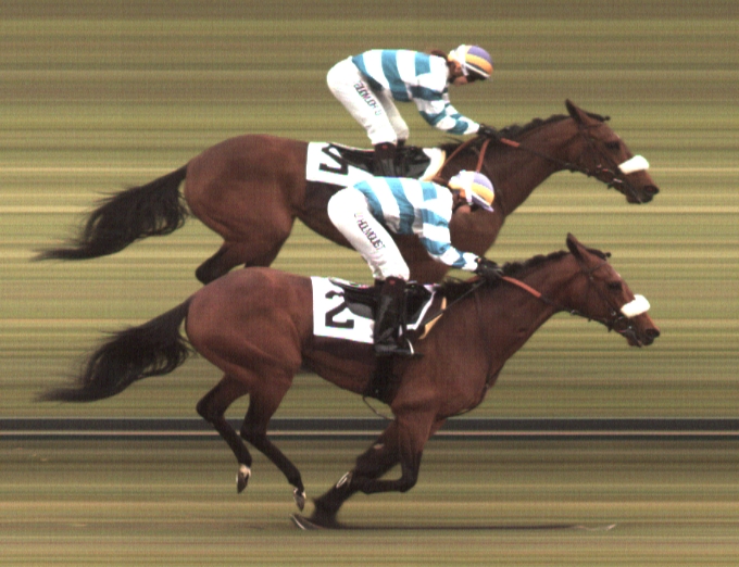 BAZAR FOTOGRÁFICO DE HAGLITA: 9a Mejores Fotos del Turf