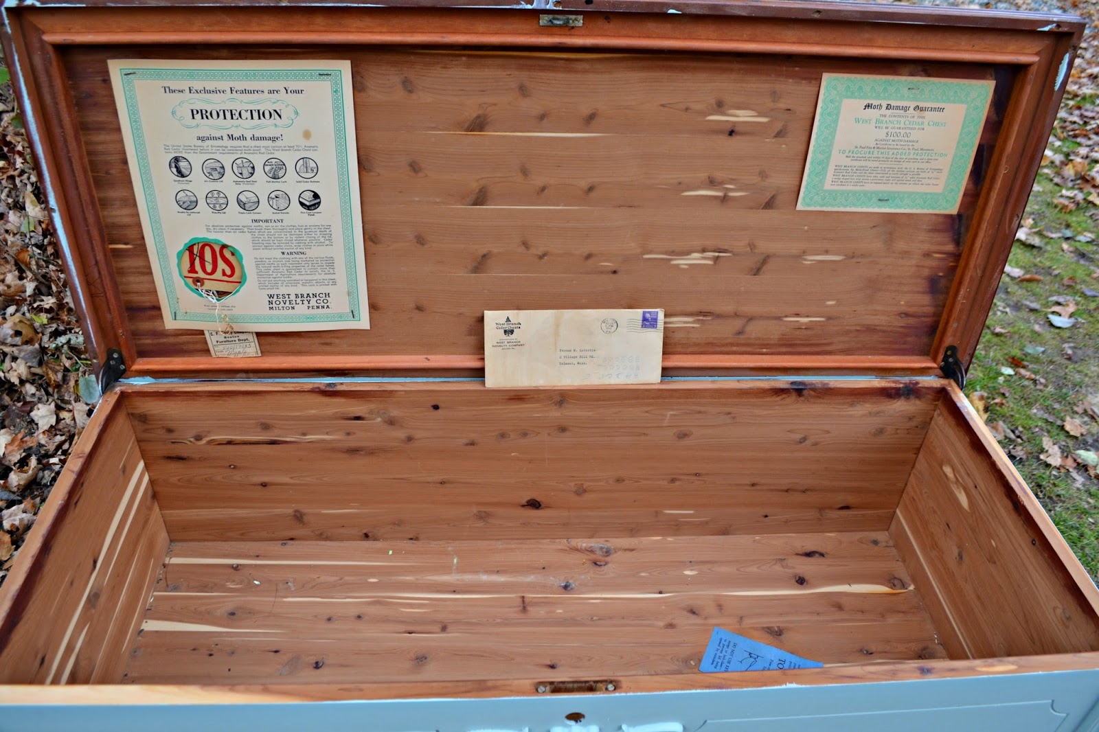 Heir and Space: An Antique Cedar Chest in Ice Blue