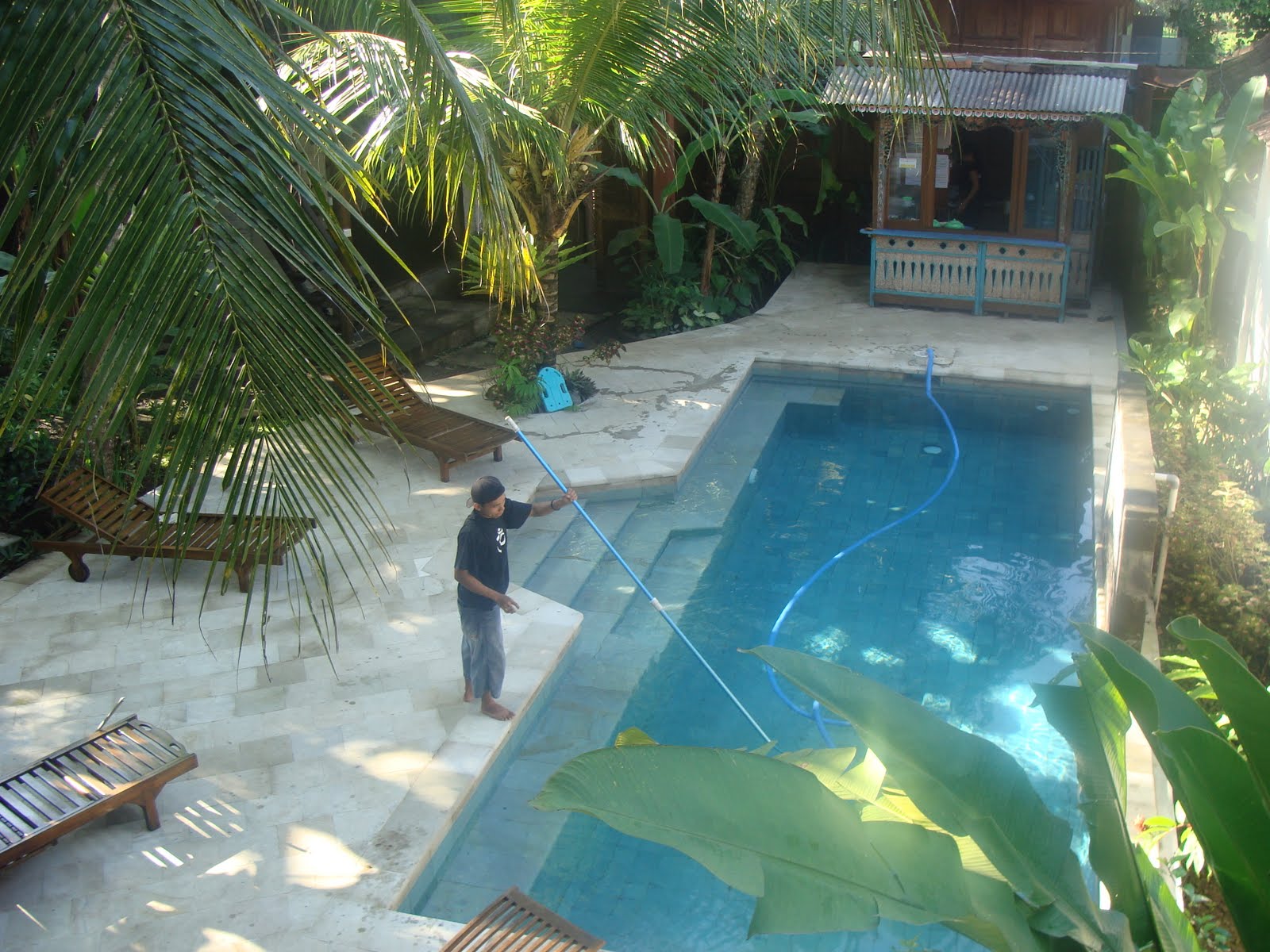 whirled peas project: Bali Baby!