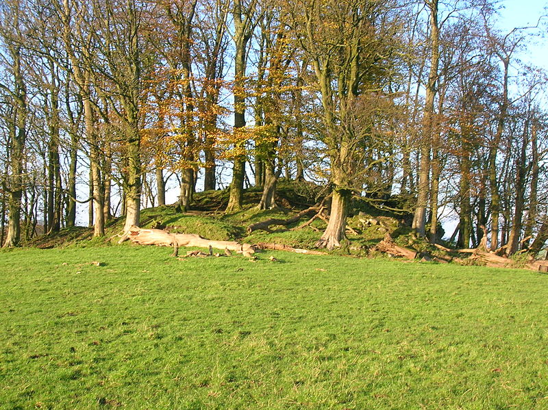 The History Girls: Eaglesham: Village of history, by Manda Scott