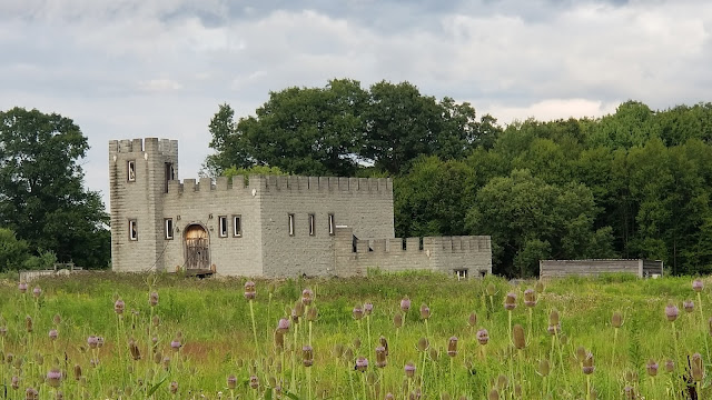Valley Girl Views: Dane Castle, Strongstown Pa
