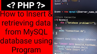 How to Insert and retrieving data from MySQL database using Program