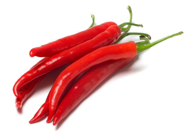 Tastes Of History A Brief History Of Foods The Chilli Pepper tastes-of-history-a-brief-history-of-foods-the-chilli-pepper