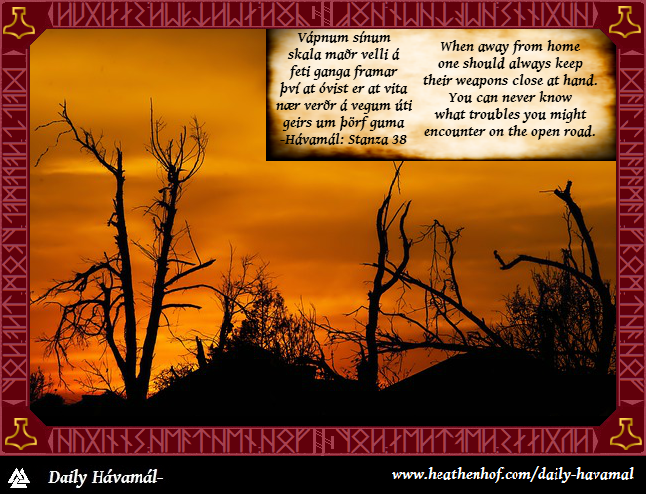 Beast's Daily Havamal: Stanza 38