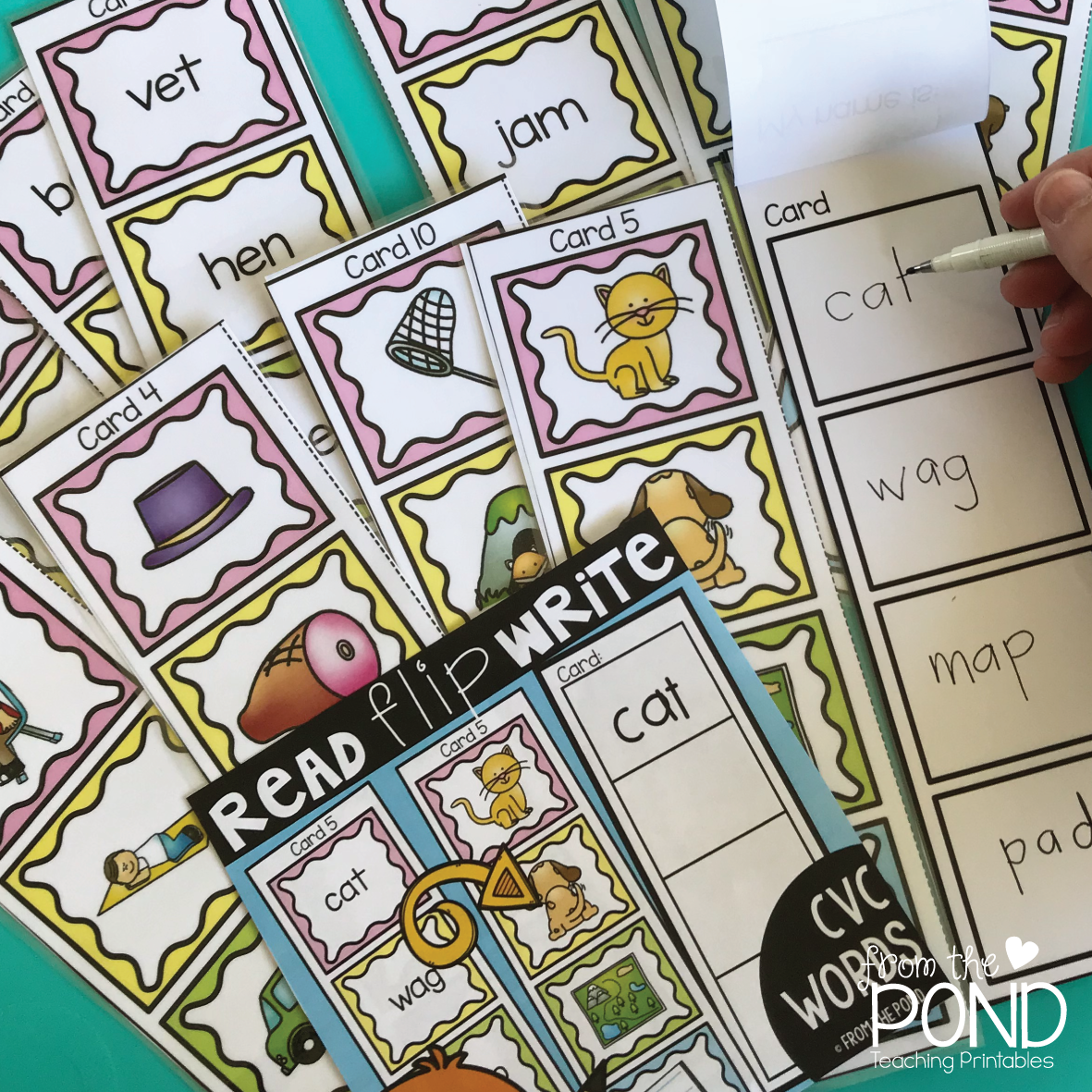 Read, Flip, Write Cards | From the Pond
