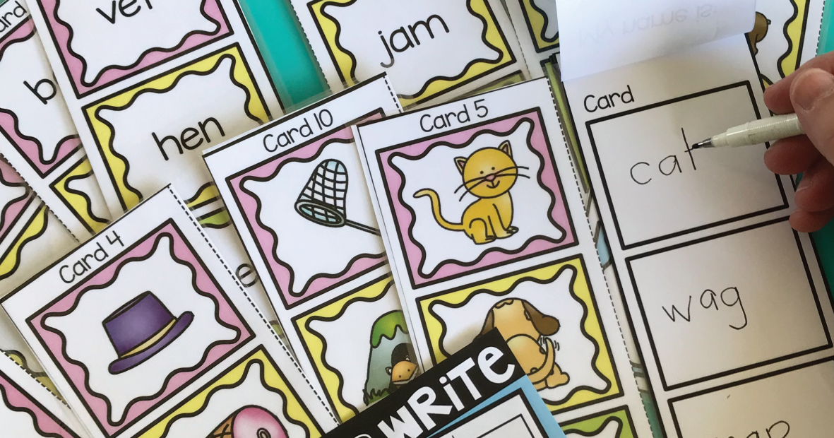 Read, Flip, Write Cards | From the Pond