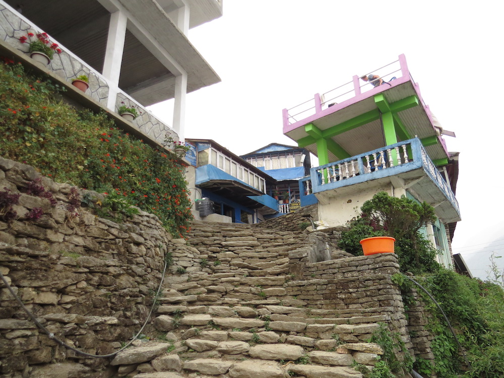 Birdernaturalist: Ghorepani Trek Day 1: Nayapul to Ulleri