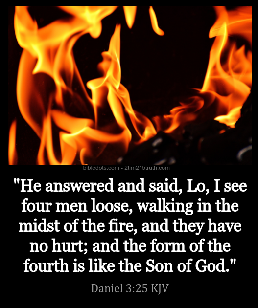 2 Timothy 2:15 Truth: Verse of the Day: Daniel 3:25 KJV