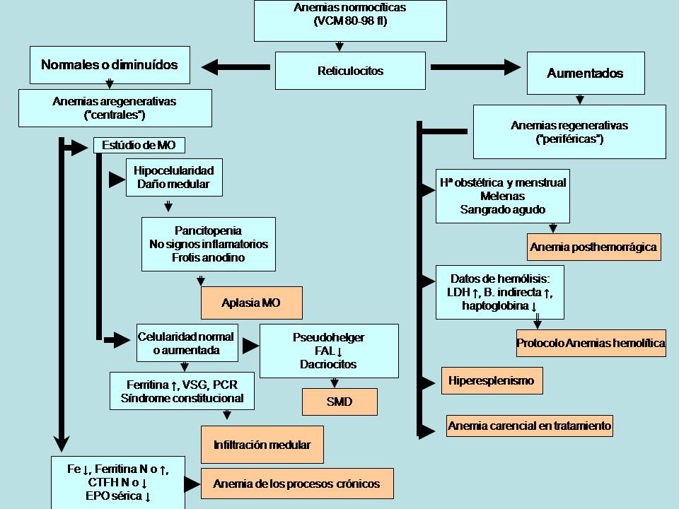 Anemias normocíticas