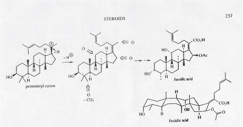 KAMPUS FARMASI: ASAM FUSIDAT