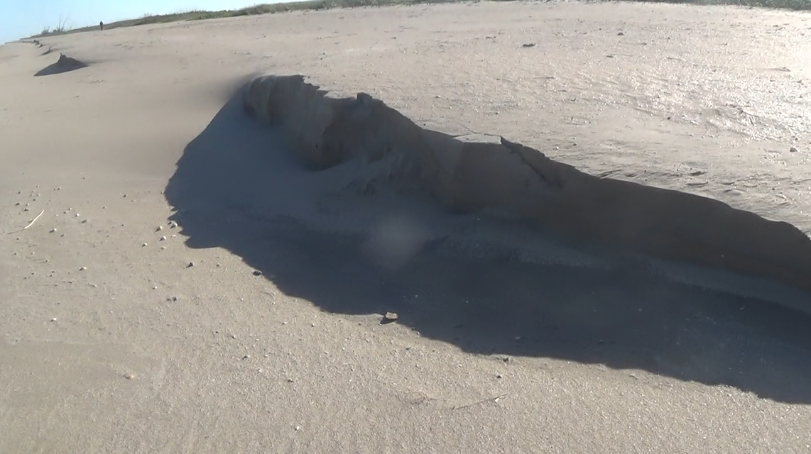 The Treasure Beaches Report Direct From Florida's Treasure Coast.: 1/23 ...