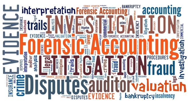 World of Forensic Accounting: An Introduction to Forensic Accounting