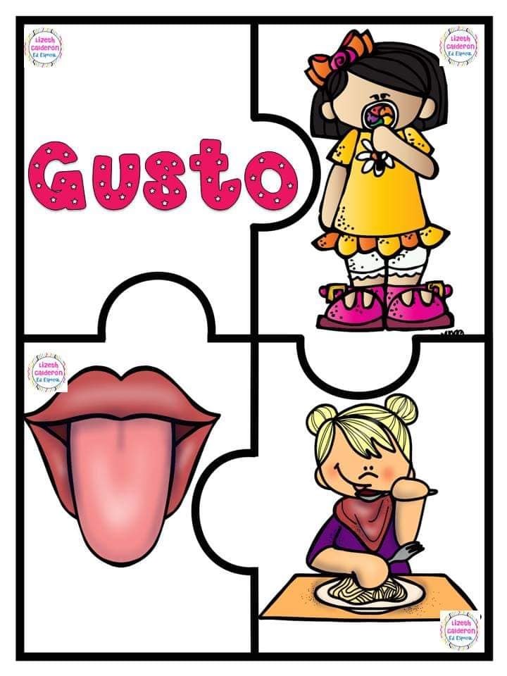 Material Educativo para los Cinco Sentidos | Materiales Educativos para ...