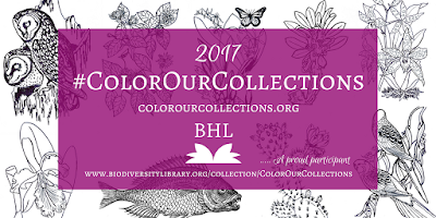 Color our Collections: The Art of Woodcuts | Ernst Mayr Library