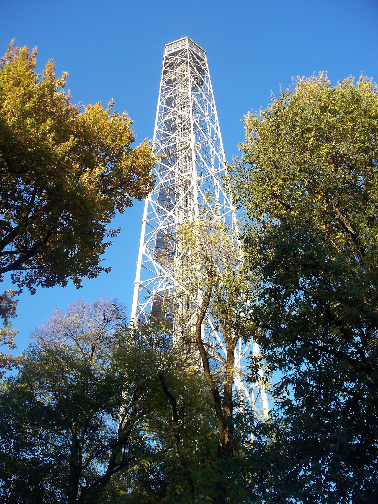 GES - Seniores Edison: LA TORRE BRANCA