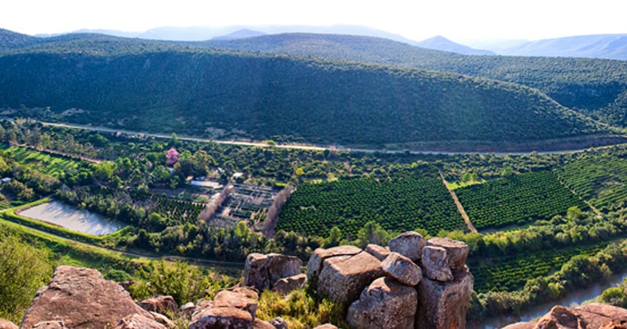 Citrus Agriculture: A Case Study of Kat River Catchment, South Africa