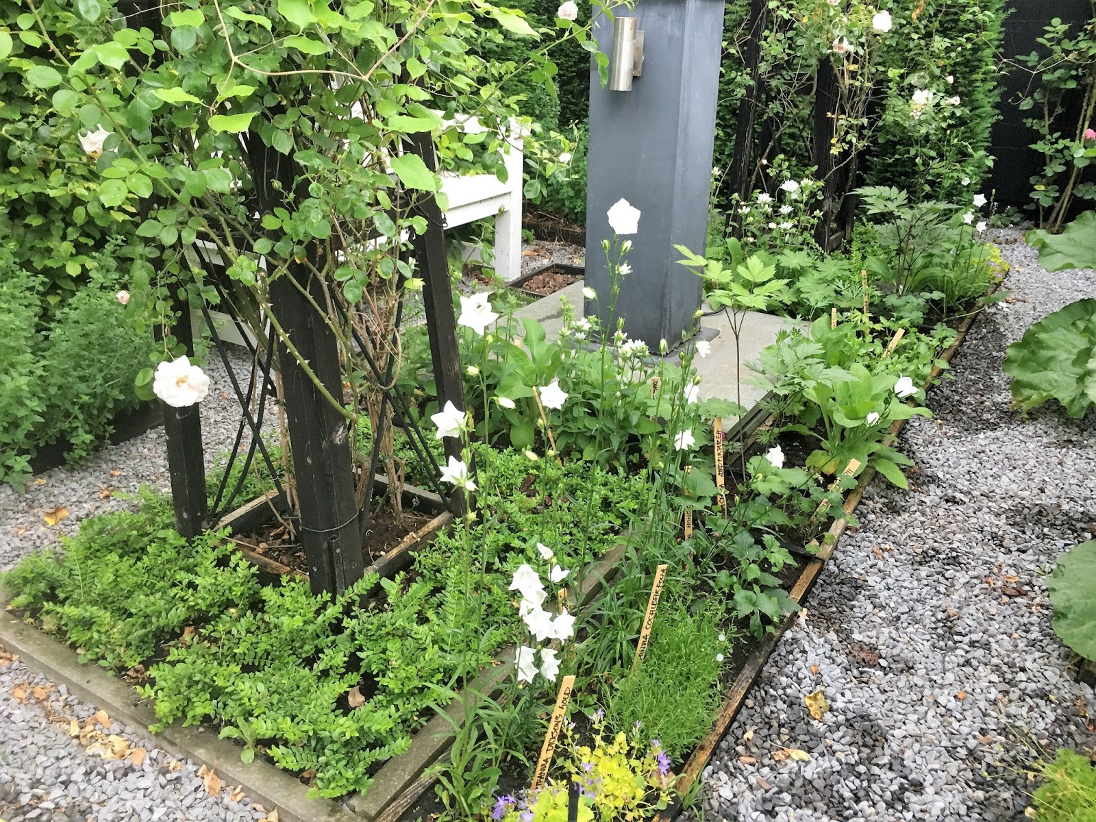 Potagerie in Maastricht: 1.06.2017 > New white boarder 2017