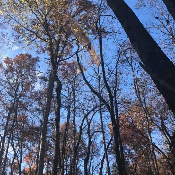 Kathryn's Report: Kolb Firefly: Accident occurred November 05, 2020 at ...