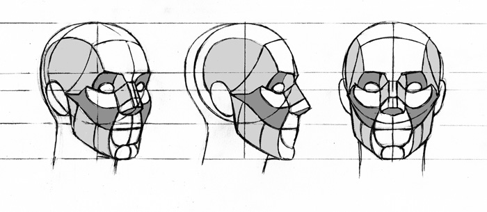Draw Speak: Generic Head Design