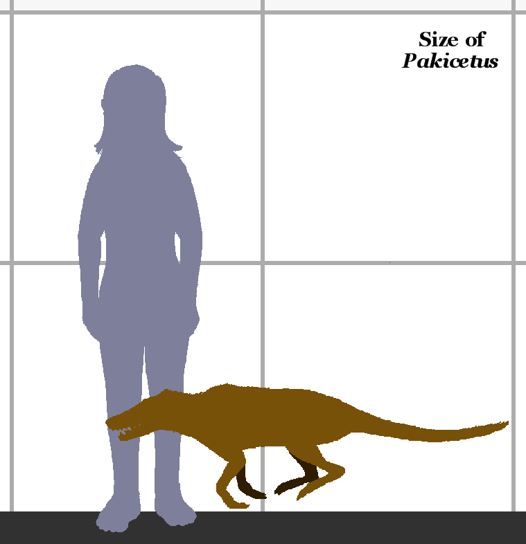 Doctor Grumpy in the House: Hawaiian vacation, day 8