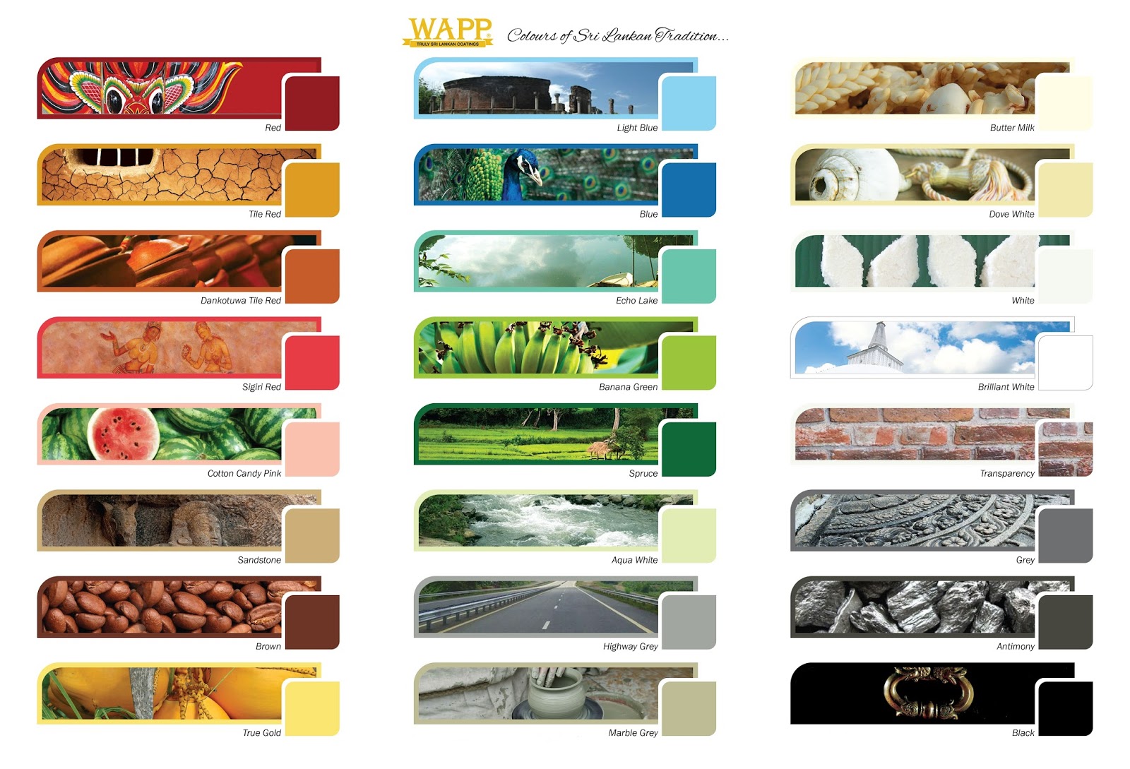 WaterProof Wapp Paints