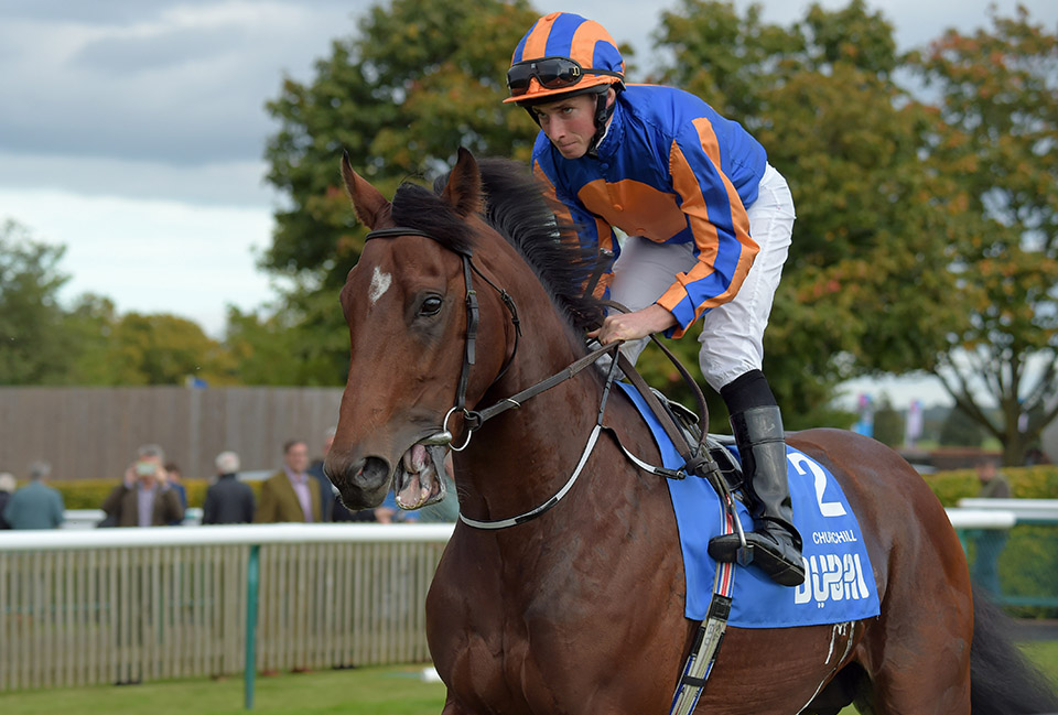 GIOVEDÌ 9 MARZO 2017. Meydan: Zabeel Stable Sends Out Winning Treble at ...