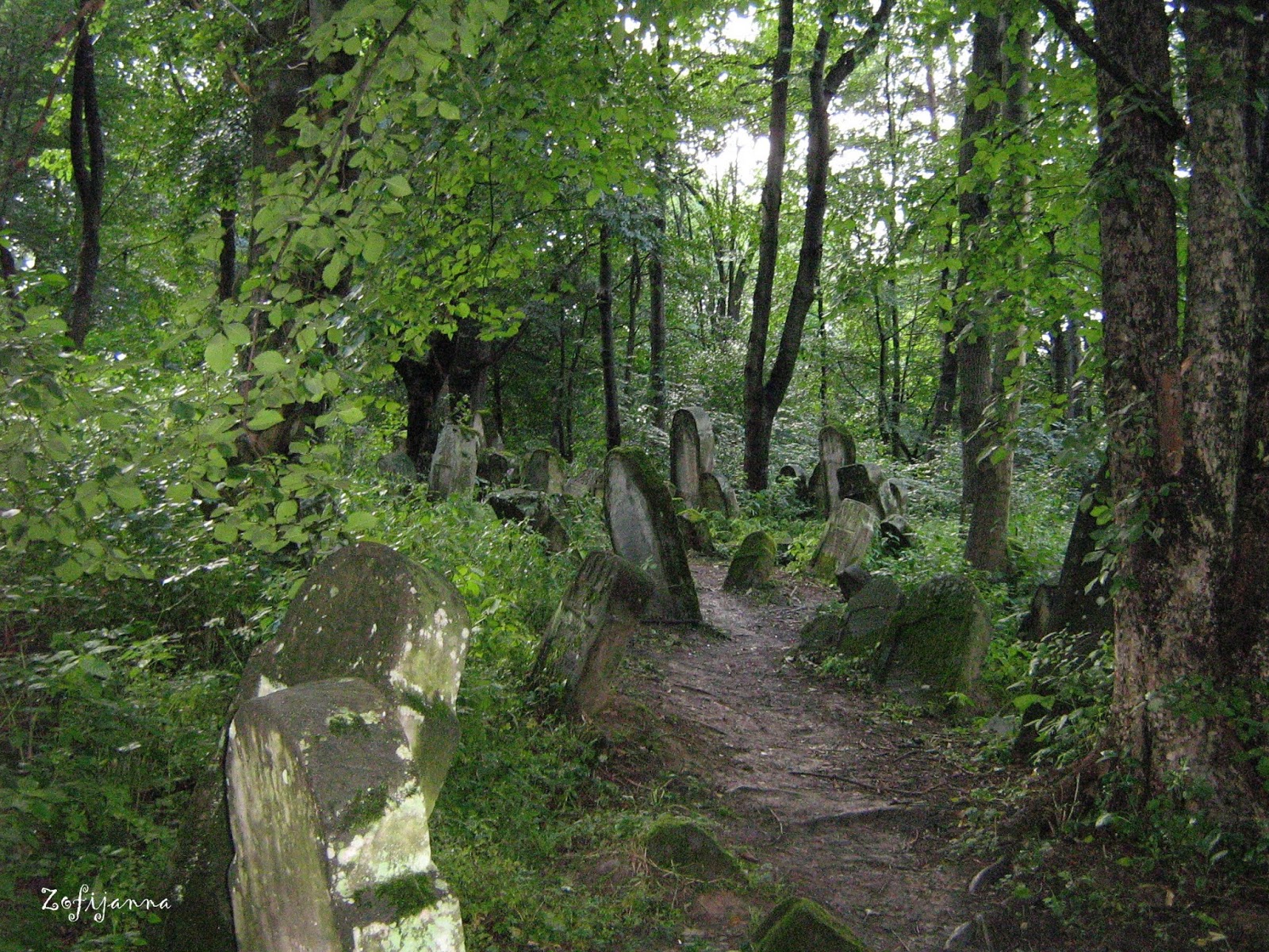 Z rakiem w tle: Ponad podziałami.